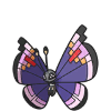 Vivillon-elegant – PokéCenter Blog